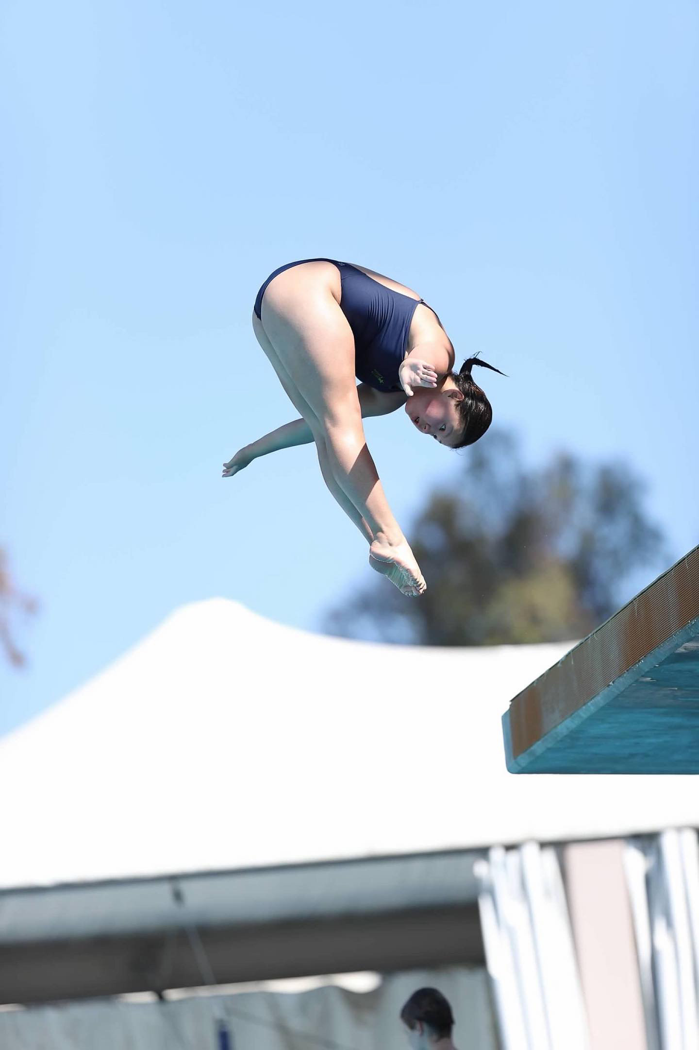 Competition Group - North Star Diving Club